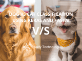 Dog Vs Cat Classification Using Keras And Fastai